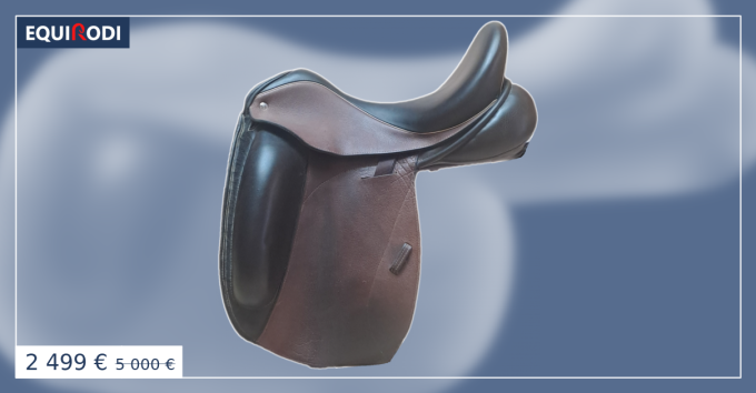 Silla CUSTOM excepcional: el mejor del mundo (980029) | Comprar esta ...